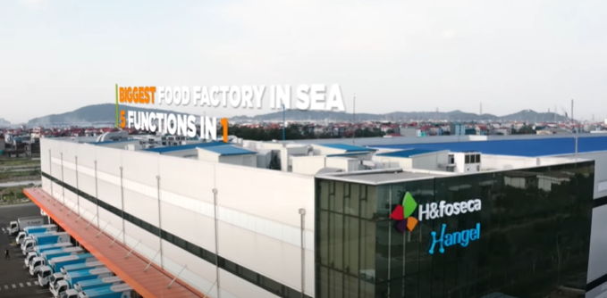 Portfolio - Bright Solution