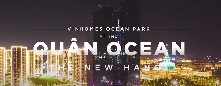 Portfolio - Bright Solution